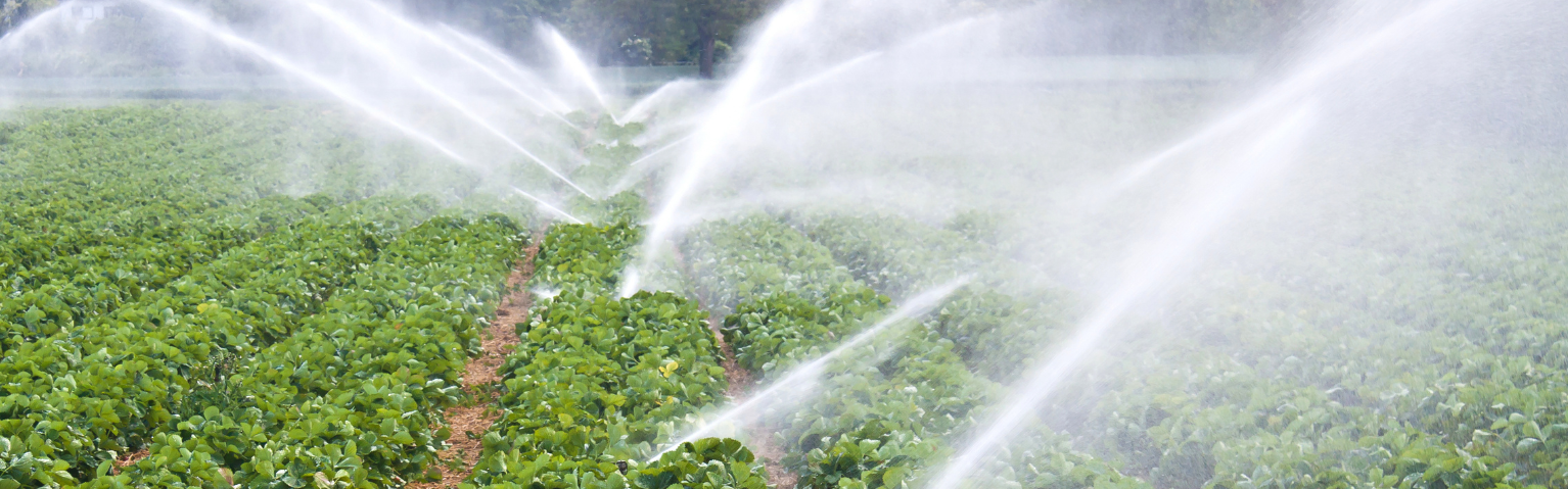 News Details - Raben Group